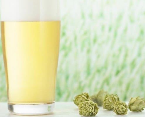 Beverage Industry Latest News | Beer Blog | YoLong