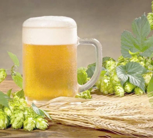 10 Tips to Optimize Dry Hop Bouquet | YoLong Brewtech Blog