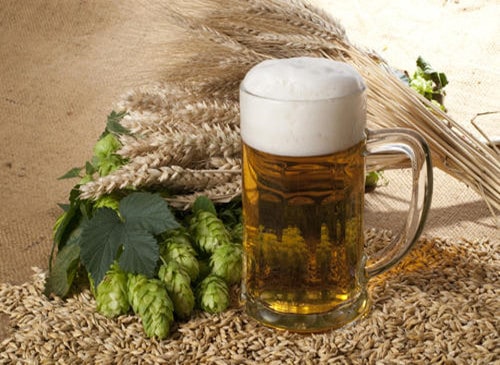 What are some good home brew beer blogs/sites? - YoLong Brewtech