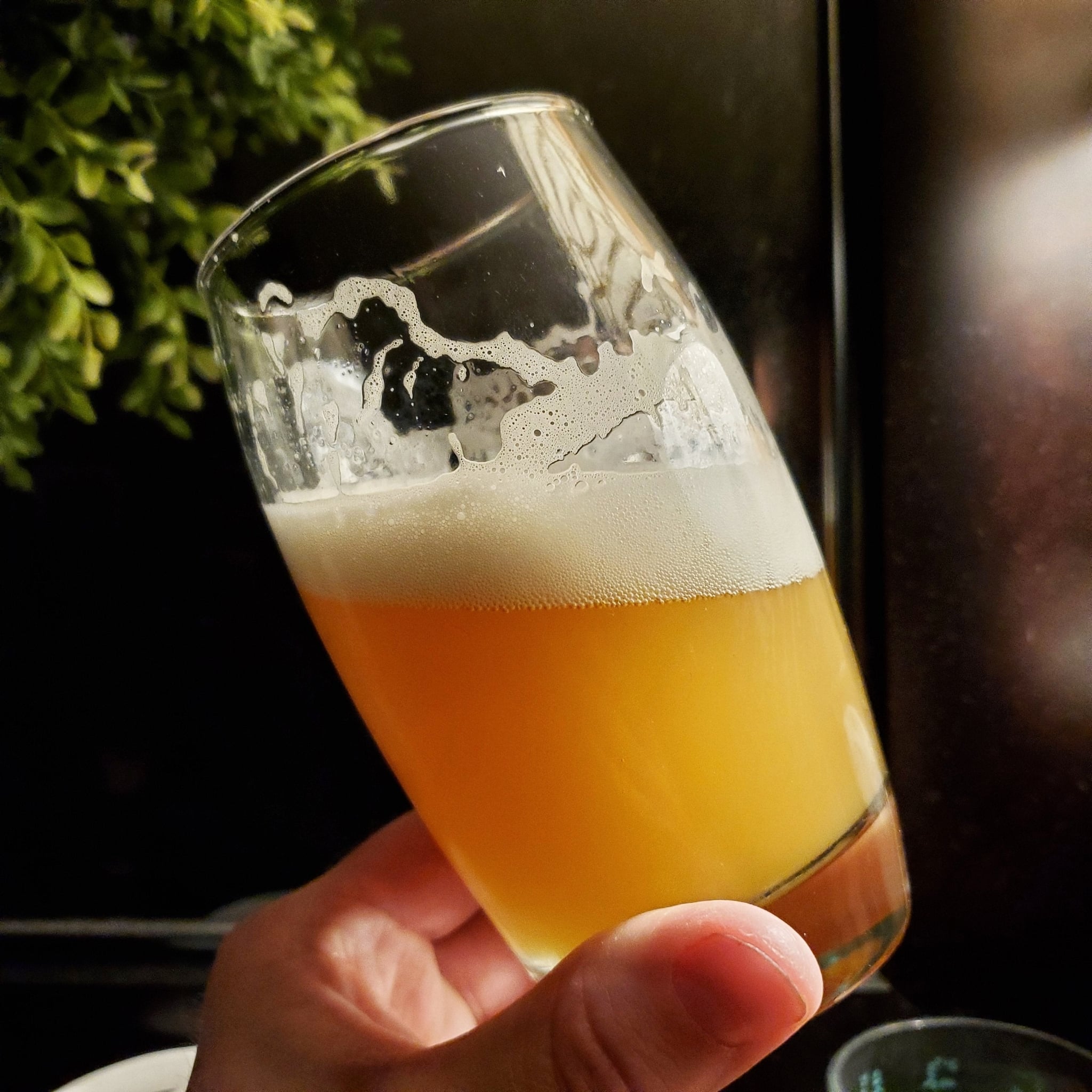 The Ultimate Guide to Micro Brewing System - YoLong Brewtech